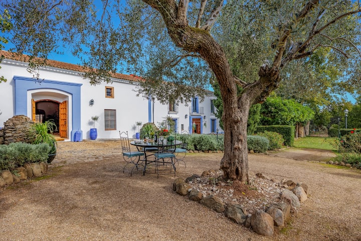 The Olive Mill With Private Pool & Large Gardens - Cala