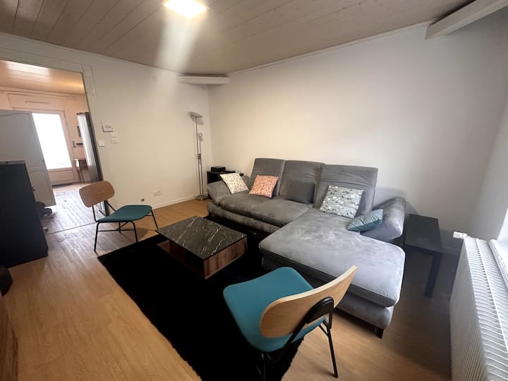 Grand Appartement à Colmar - Colmar