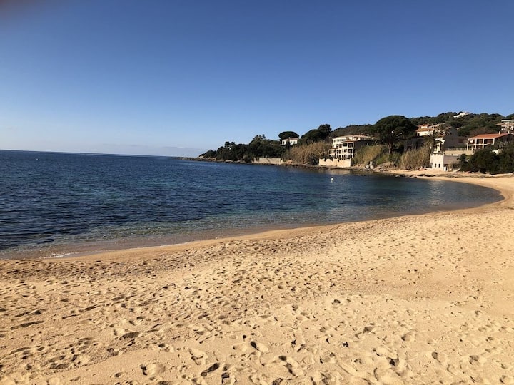 Appartement Pieds Dans L'eau - Sagone
