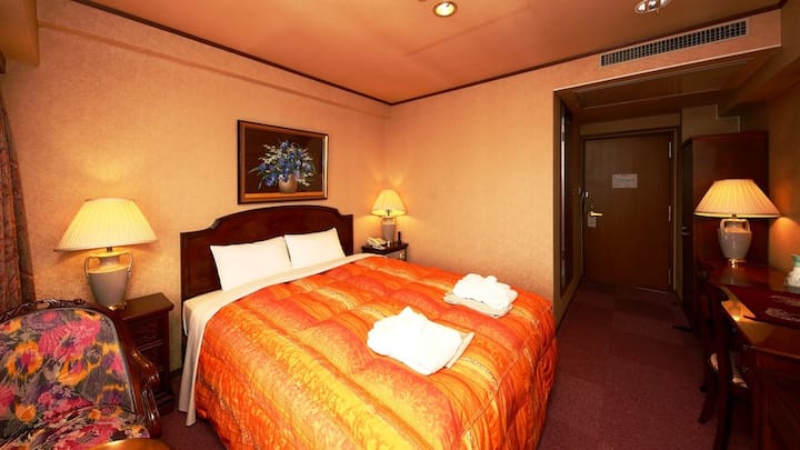 【Free Onsen Ticket!】deluxe Double/non-smoking/2ppl - Toyota