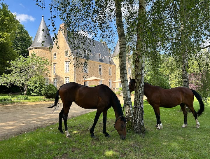 Le Château De Vaux - Le Mans