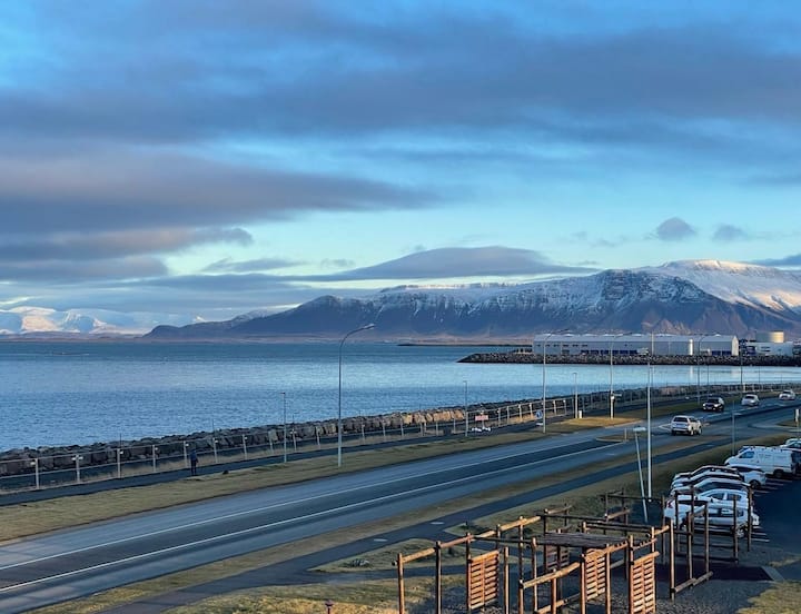 Entire Apartment In Reykjavik - Reykjavík