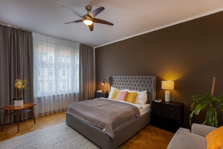 Spacious And Amazing Central Apt - Prague