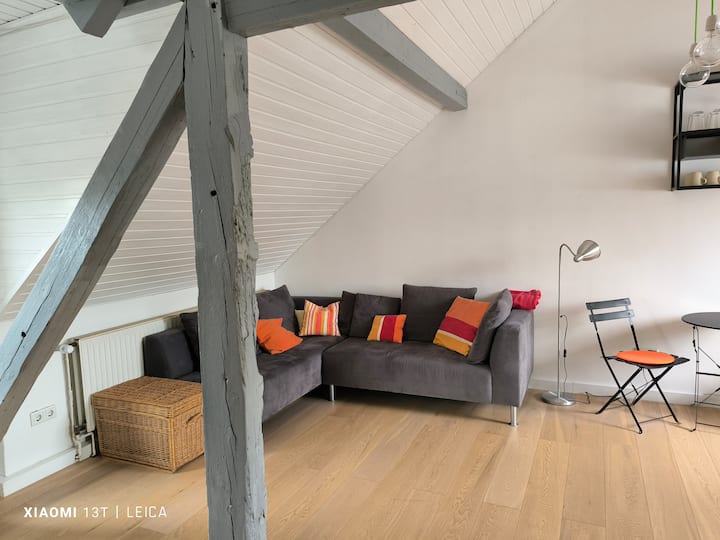 Dachgeschoss Mit Rheinblick - Colonia