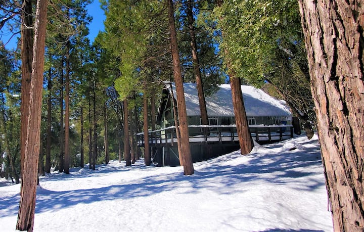 Trout River Cabin • Pet-friendly Forest Escape - Camp Nelson, CA