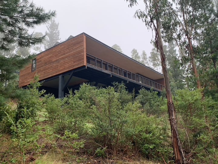 Bosque Y Surf En Pichilemu - Chile