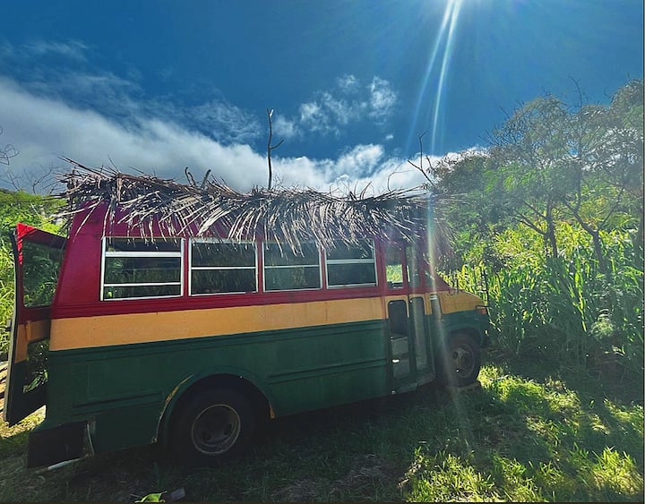 The Rasta Bus - North Shore Oahu - Hawaï