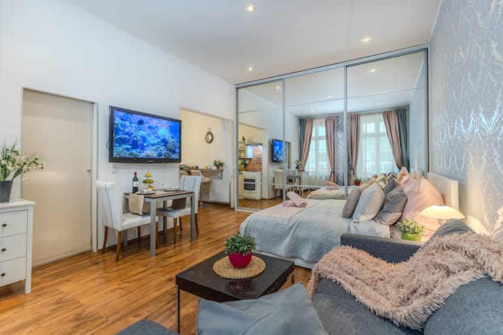 Central Prague • 3 Min To Main Station • Ac - Prague