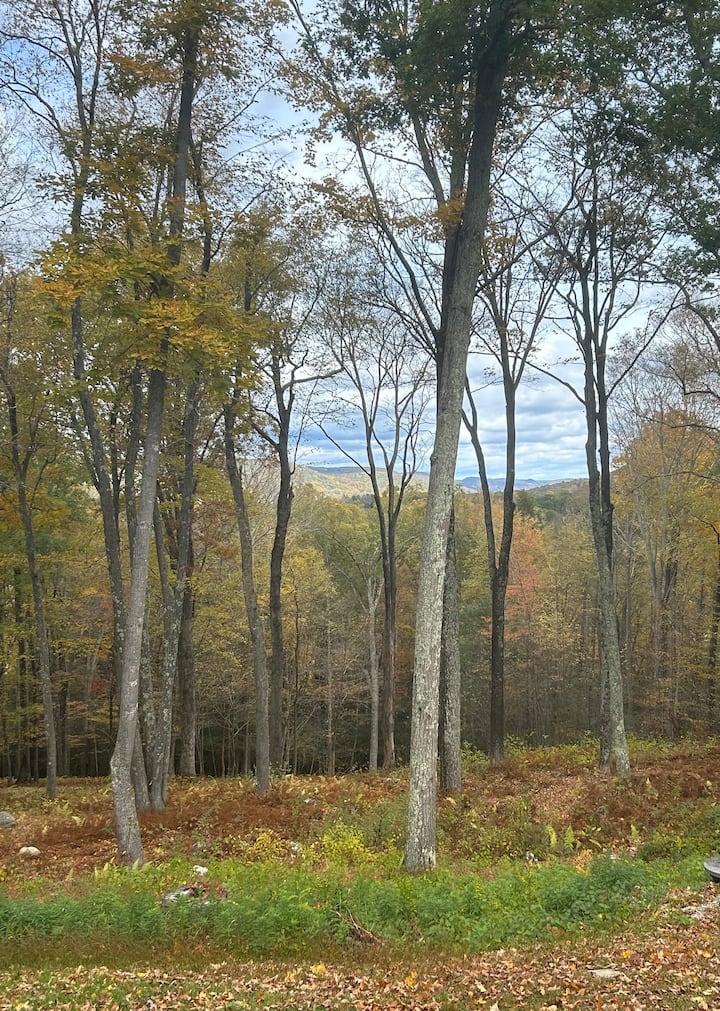 Modern Woodland Retreat In Kent, Ct - Kent Falls State Park, Kent