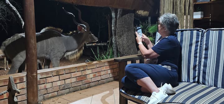 Bush Lodge In Marloth Park - Marloth Park