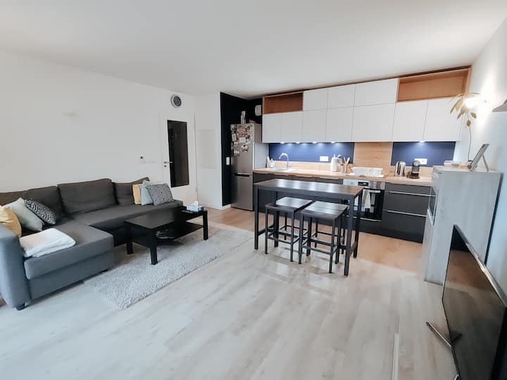 Appartement Au Bord Du Rhin - Kehl