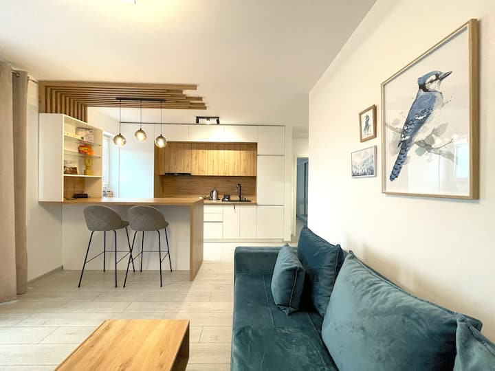 Blue Jay's Nest — Ac & Stylish Terrace - Codlea