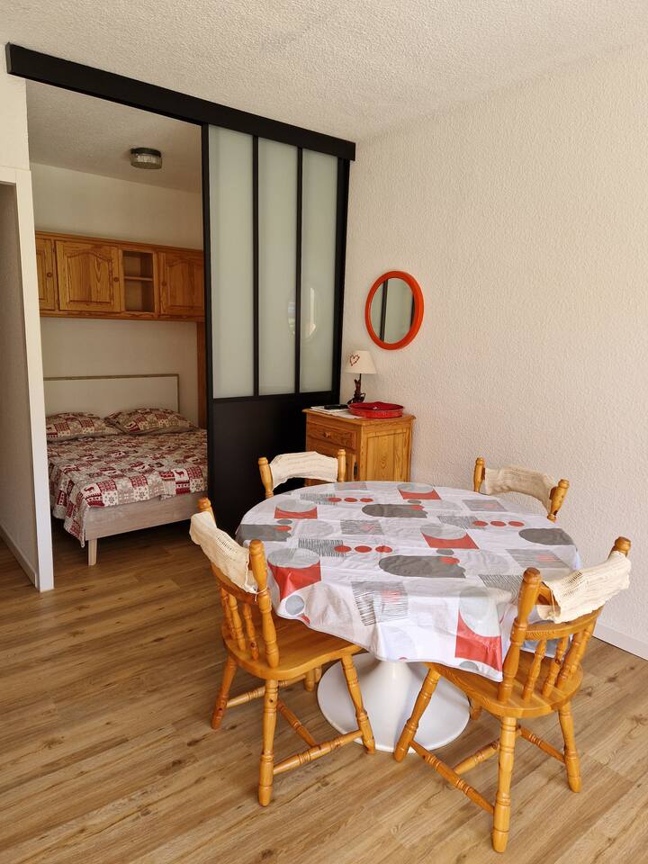 Appartement Aux Pieds Des Pistes - Fontcouverte-la-Toussuire