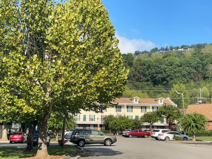 Mountainside Southern Condo - Chattanooga, TN