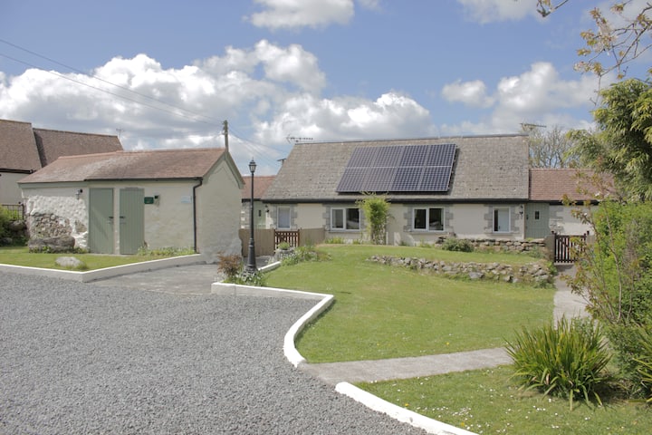 Cornish Coastal Eco Friendly #2 Ev Charger - Lizard