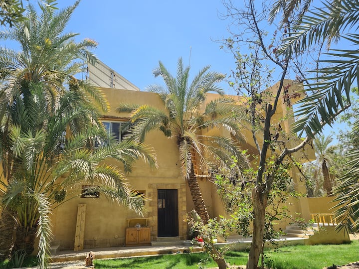 En-suite Fireplace Room In Palm Grove, Siwa Oasis - Egypte