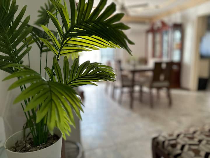 Habitaciones La Tortuga (Camina A La Playa) - Mazatlán