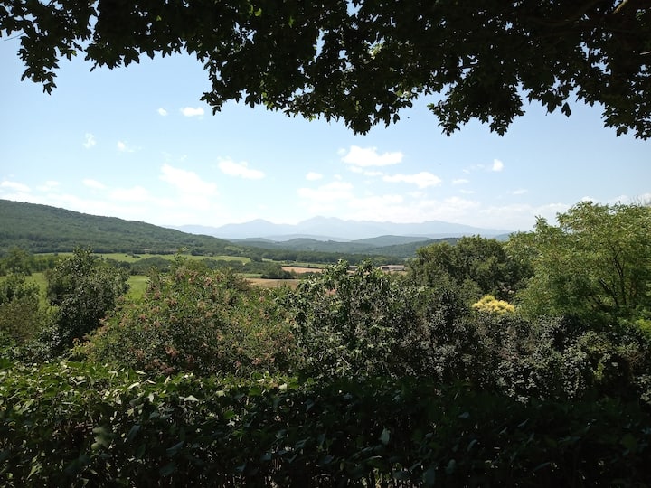 Au Repos (Vue Sur Les Pyrénées) - Mirepoix