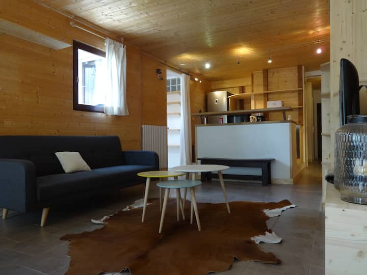 T3 Rénové Proche Des Pistes - Chantemerle