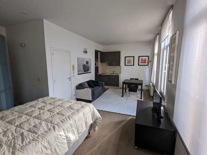 Lumineux Studio St Gilles - Brussels