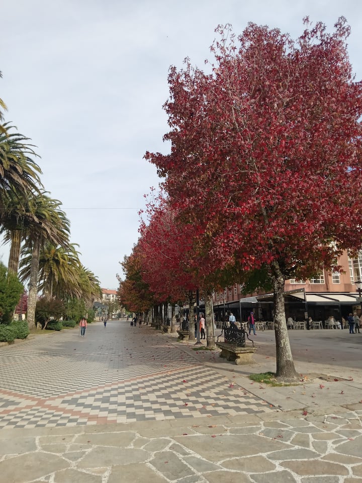 Paseo De Noia - Noia