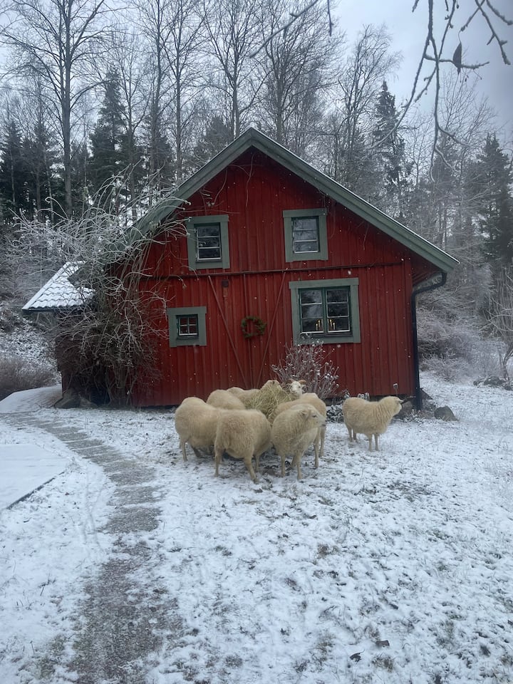 Genuin, Fridfull Gäststuga På Finnhopsgården - Sweden