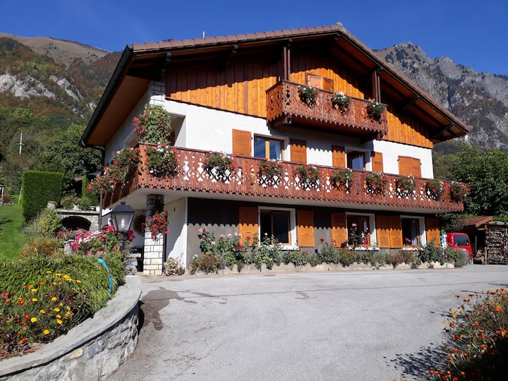 Appart Rez De Jardin Dans Chalet - Cluses