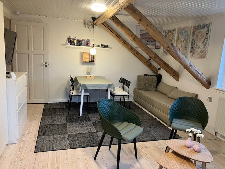 Familievenlig Lejlighed - Denmark