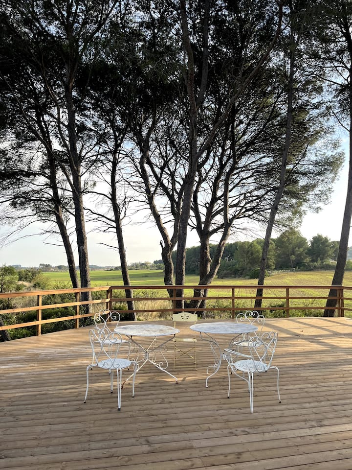 Villa Isolée Avec Piscine Au Cœur Des Vignes - Montagnac