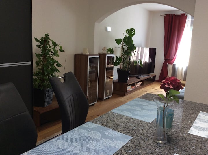 Traum-ferienwohnung Niemann - Pirna