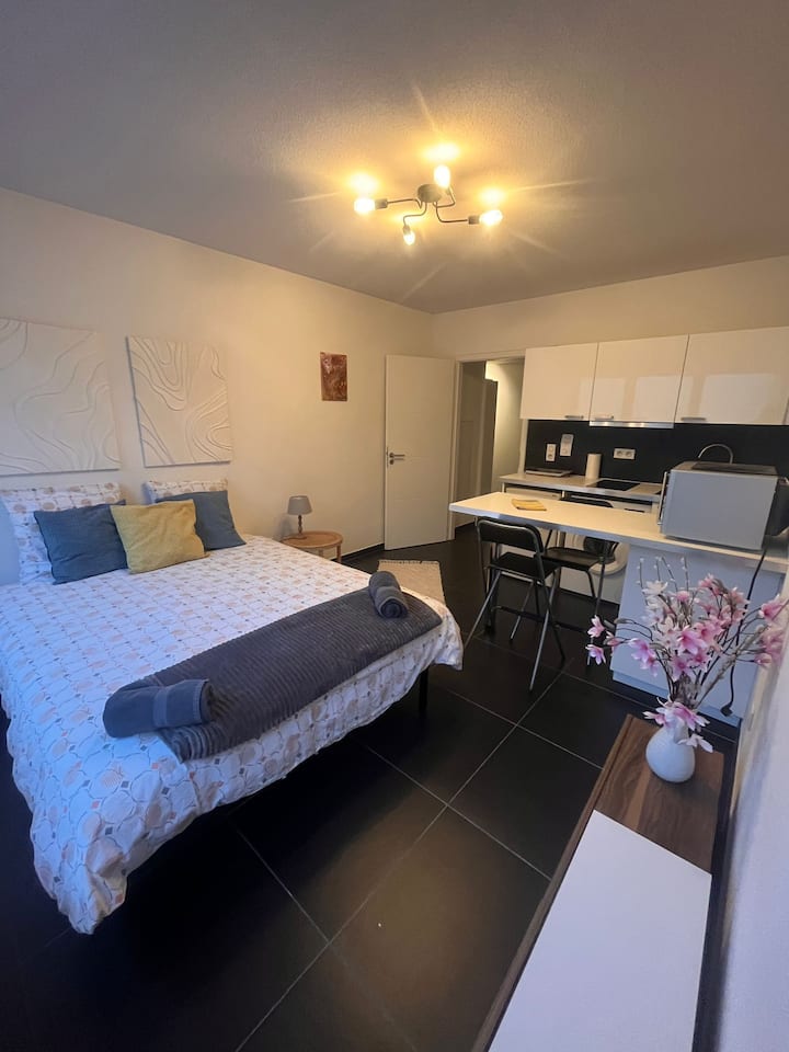 Le Nid Douillet · Studio Au Centre · Ascenseur - Estrasburgo