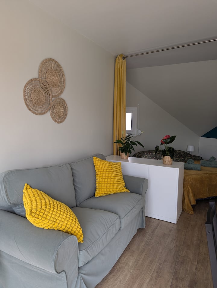 Appartement Avec Terrasse. - Laval, France