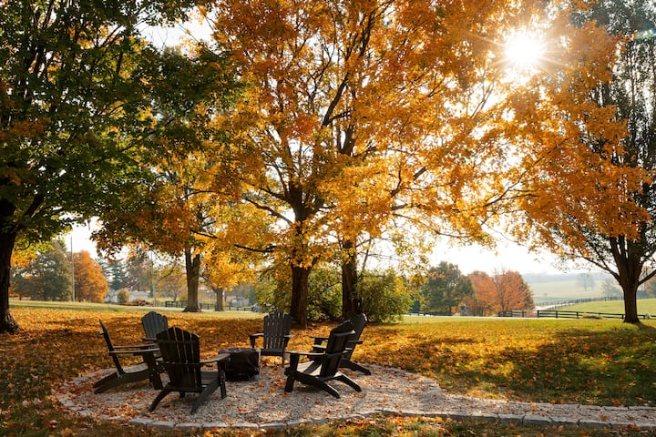 Bourbon Trail ~ Pickleball ~ Hot Tub ~ Mini-golf - 프랭크퍼트