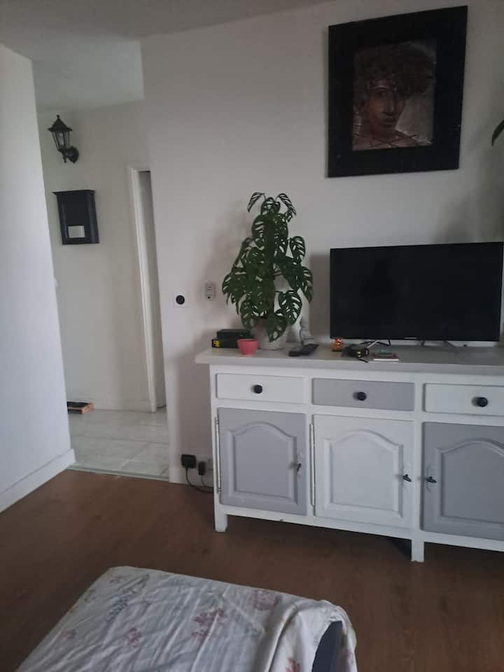 Appartement Spacieux - Nizza
