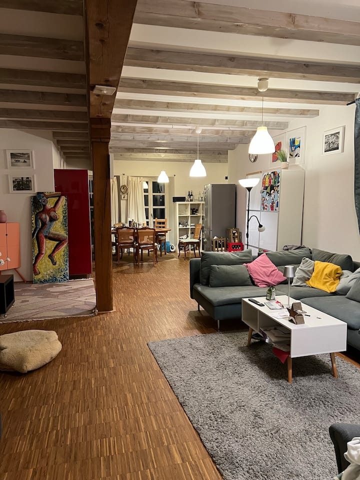 Schöne Rustikale 123 Qm Wohnung - Fribourg-en-Brisgau