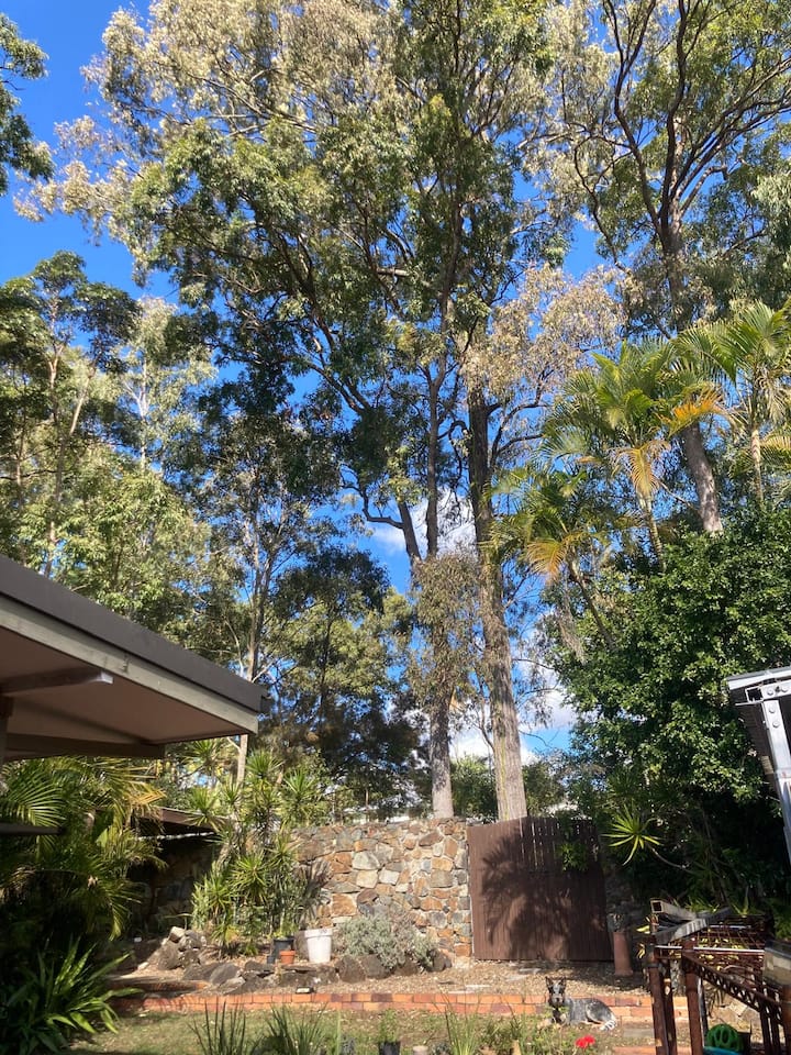 Peaceful Haven And Rustic Charm - Nerang