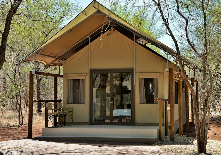 Jackalberry Family Luxury Tent - Marloth Park
