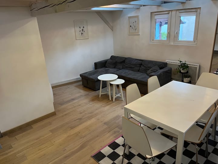 Logement Entier Proche Strasbg - Eckbolsheim