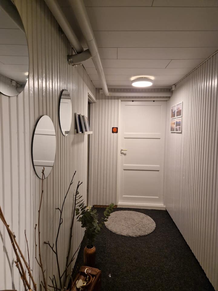 Spacious Basement Room - Kiruna