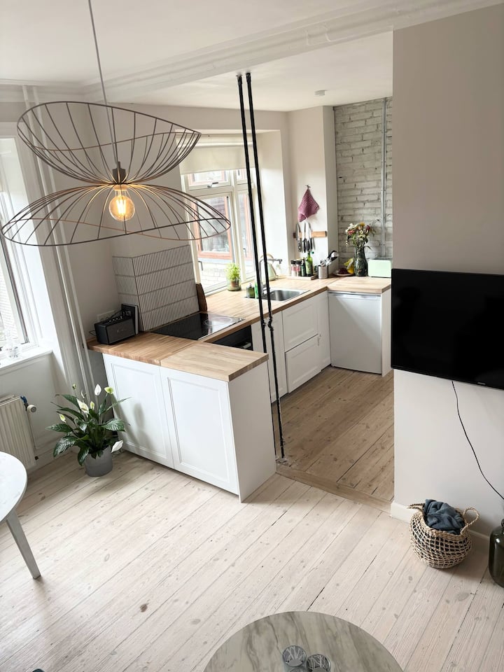 Lys Og Fin Lejlighed - Copenhagen