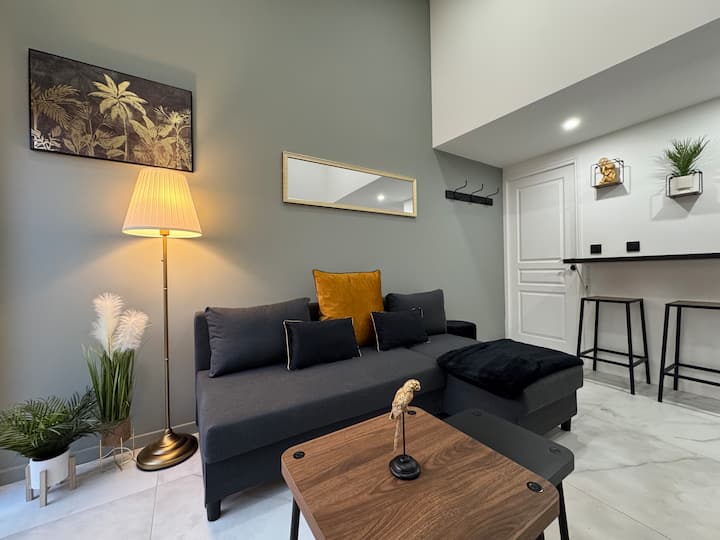 Chic Duplex Lyon Avec Terrasse - Lyon