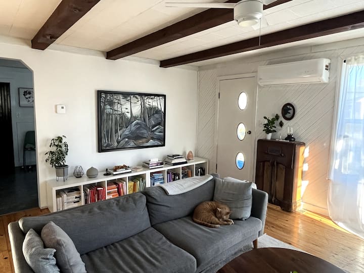 Stylish Home With Two Cats - Nova Scotia