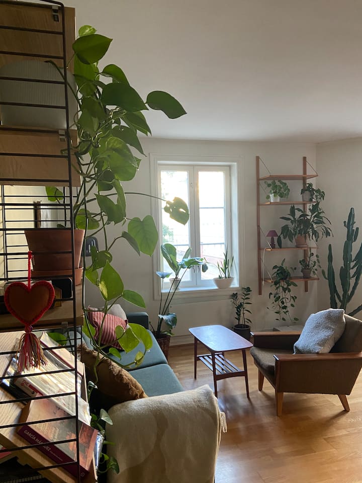 Very Central And Comfy Apartment - Oslo