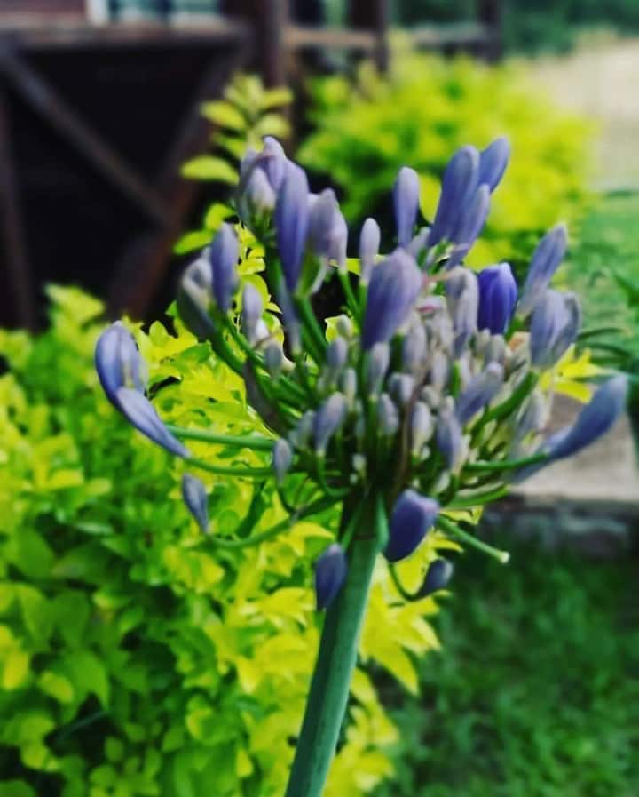 Hospedaje Familiar San José - Colón