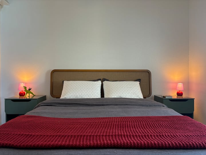 Sunny Queen Room Near Tech Hub - Round Rock, TX