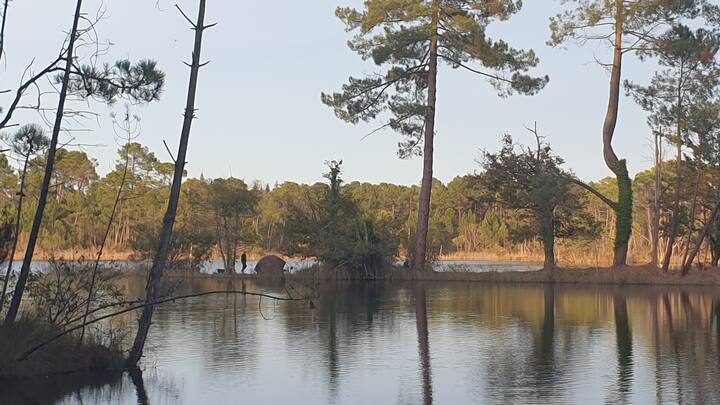 Le Gîte Du Lac à Hostens - Hostens