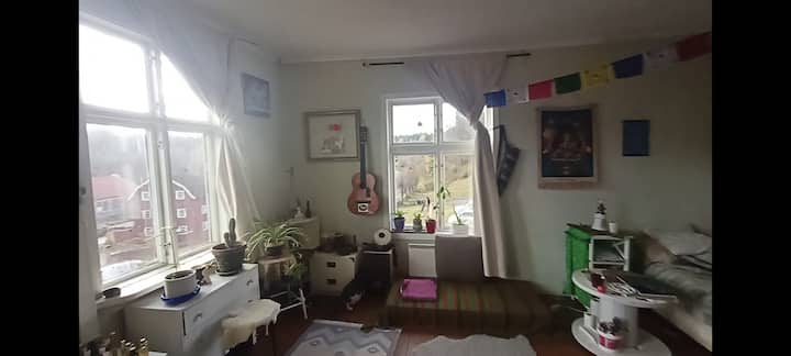 Cosy Apartment, 2km From Uddebo. - Svenljunga