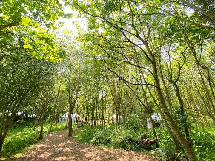 Private Yurt Village For Groups - West Wittering