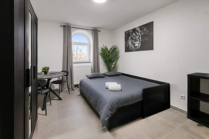 Room In Esch-sur-alzette - Esch-sur-Alzette