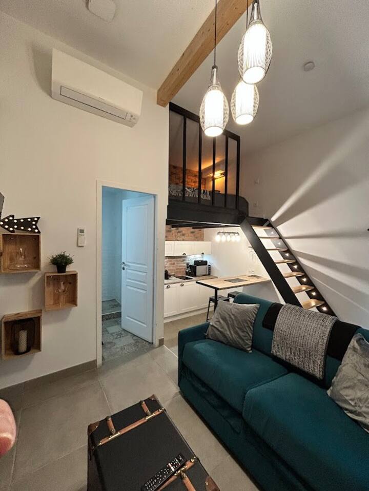 Charmant Duplex - Agen Centre - Agen